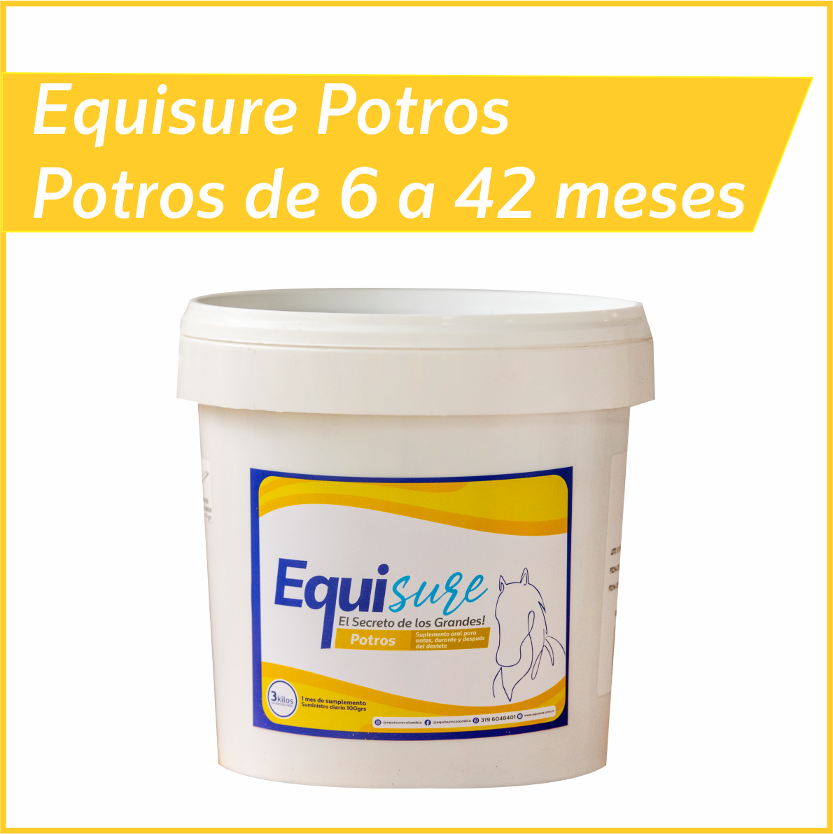 EQUISURE